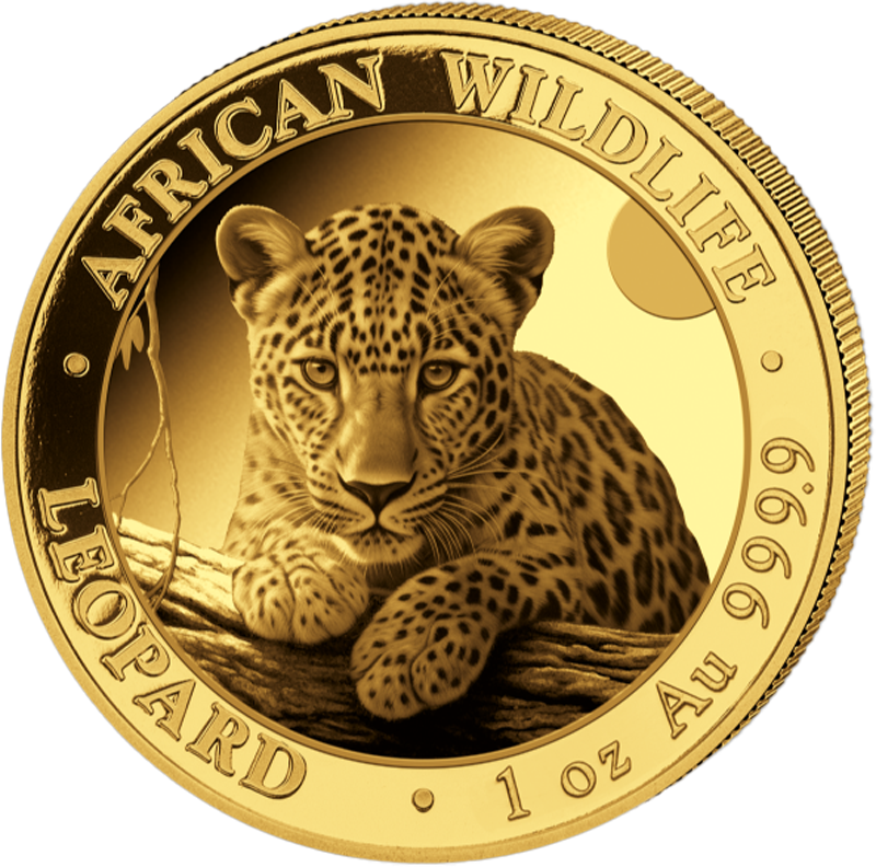 1 Unze Gold Somalia African Wildlife - The Leopard 2025
